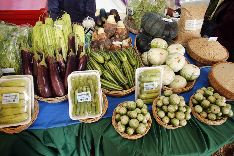 7 millions de tonnes de produits agricoles exportés en 2019 - ក្រសួងព័ត៌មាន