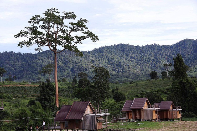 Photos of the Week: Bopha Leak Khloun Resort at Phnom 1500 Awaits ...