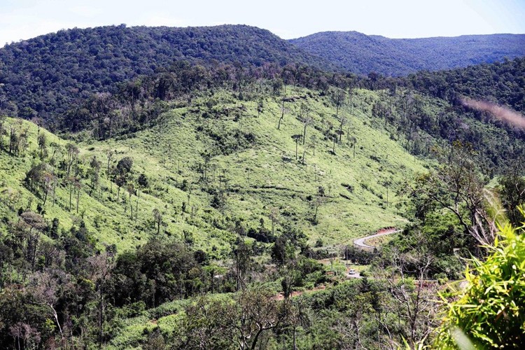 Photos of the Week: Phnom 1500, a Hidden Natural Tourist Attraction in ...
