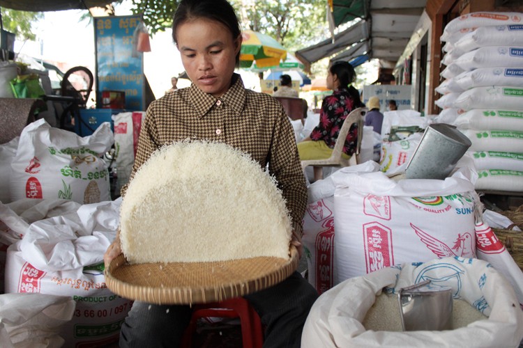 Cambodia Exports Nearly 400,000 Tonnes of Milled Rice in First Semester ...