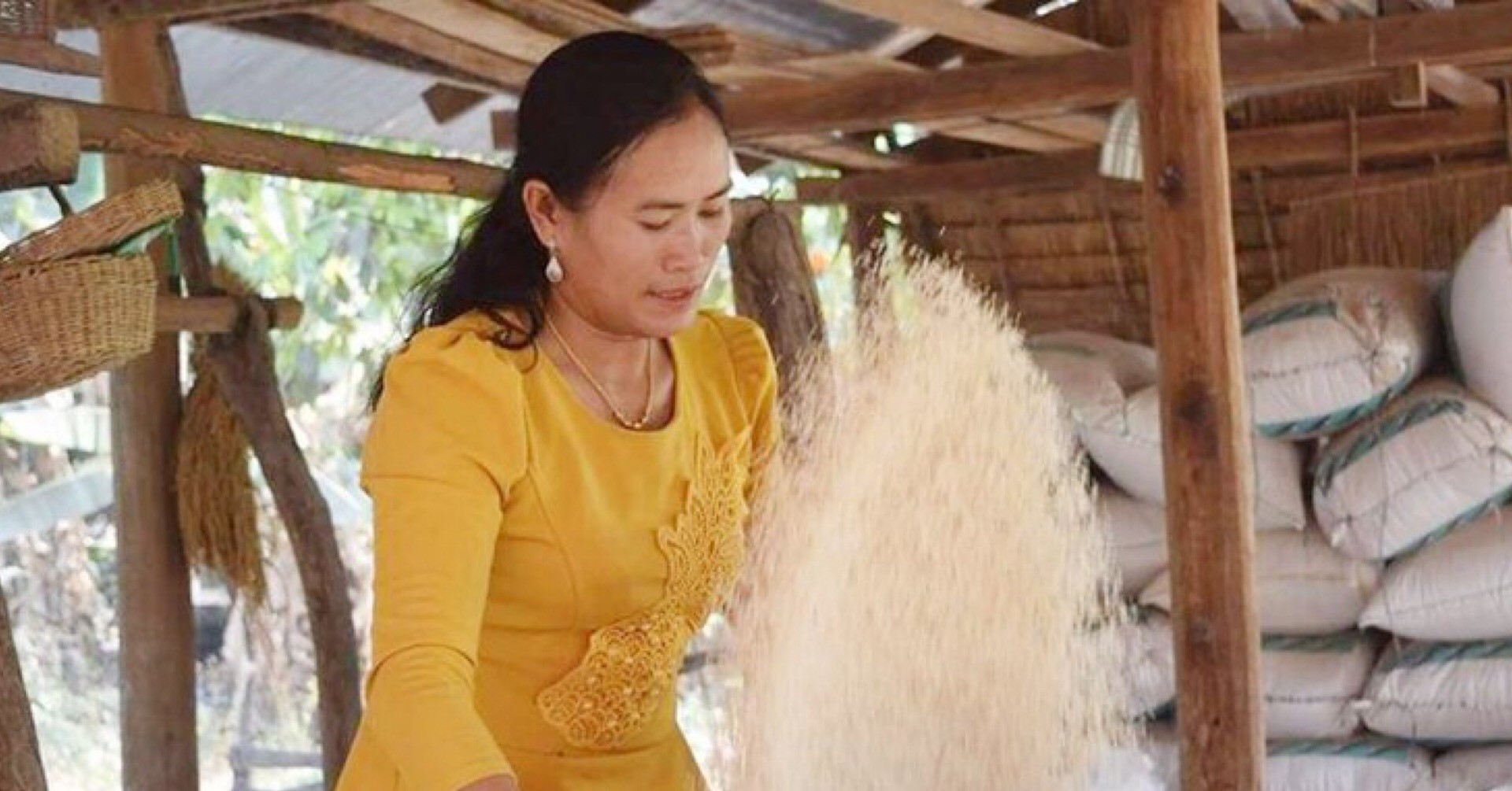 Agriculture Minister: Cambodia's Rice Export Up More Than 80,000 Tonnes ...
