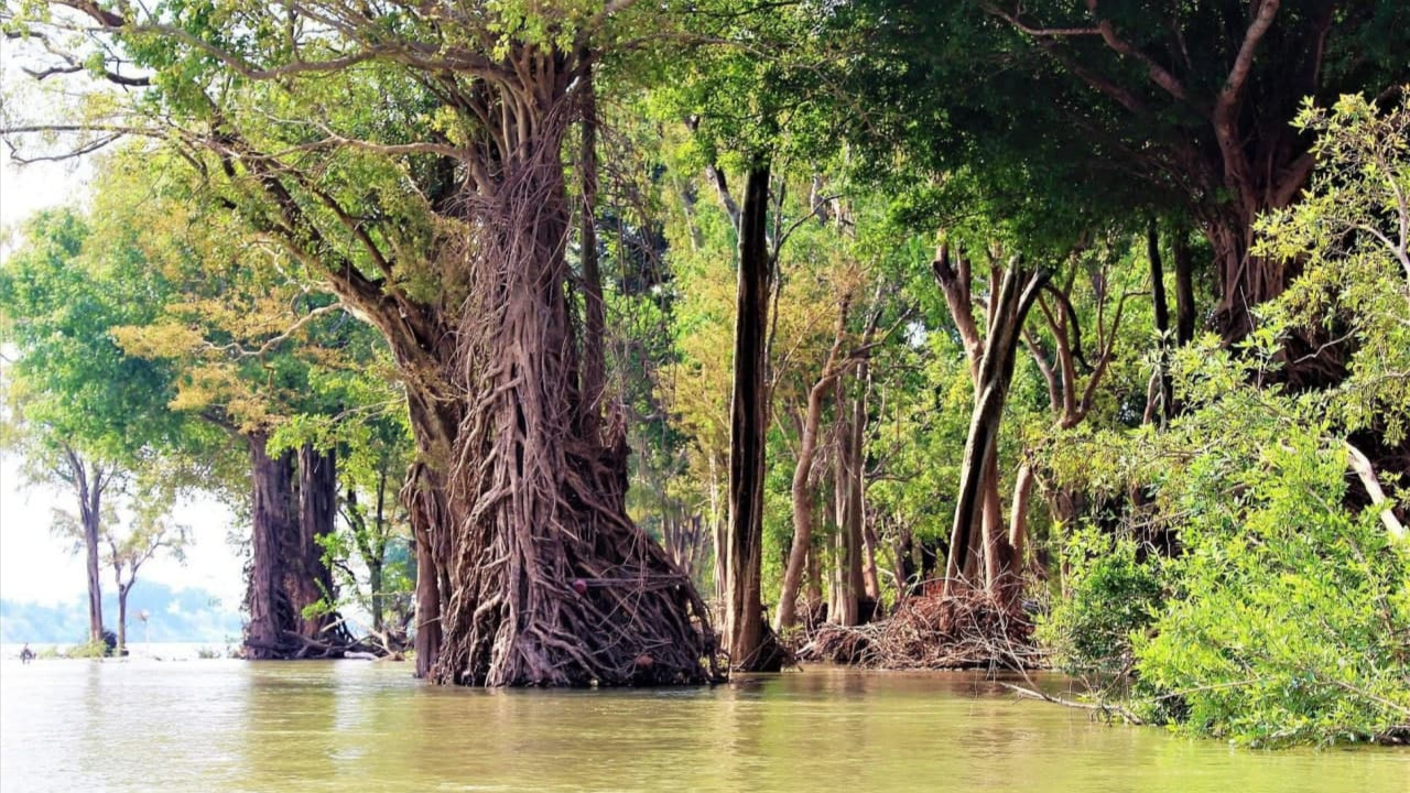 Cambodia’s Ramsar Sites - ក្រសួងព័ត៌មាន